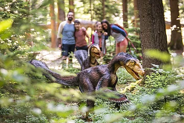 Dinosaurier Museum Altmühltal - Stadt Greding