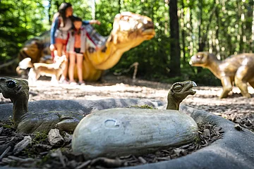 Dinosaurier Museum Altmühltal - Stadt Greding