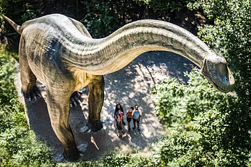 Dinosaurier Museum Altmühltal - Stadt Greding
